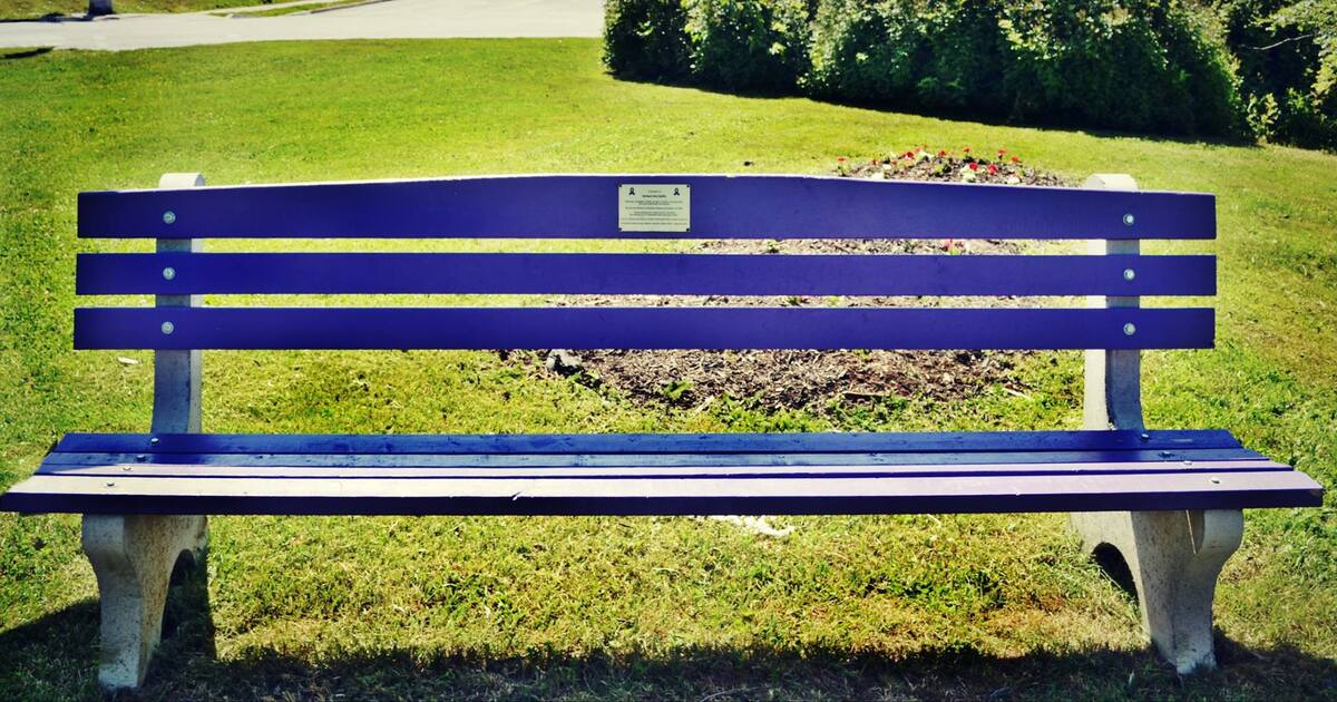 Purple Benches Honor Domestic Violence Victims