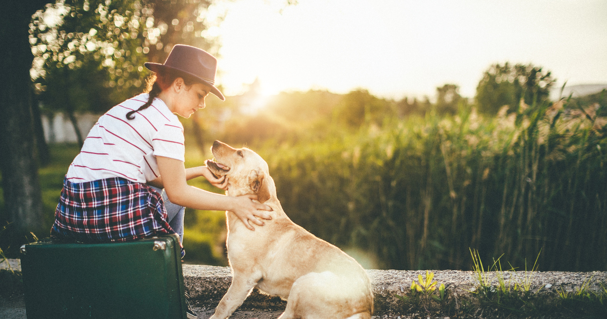 PAWS Act Provides Federal Protections for Survivors' Pets